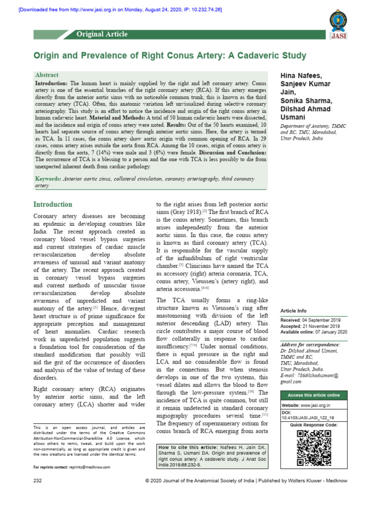 Origin and Prevalence of Right Conus Artery - A Cadaveric Study | PDF ...