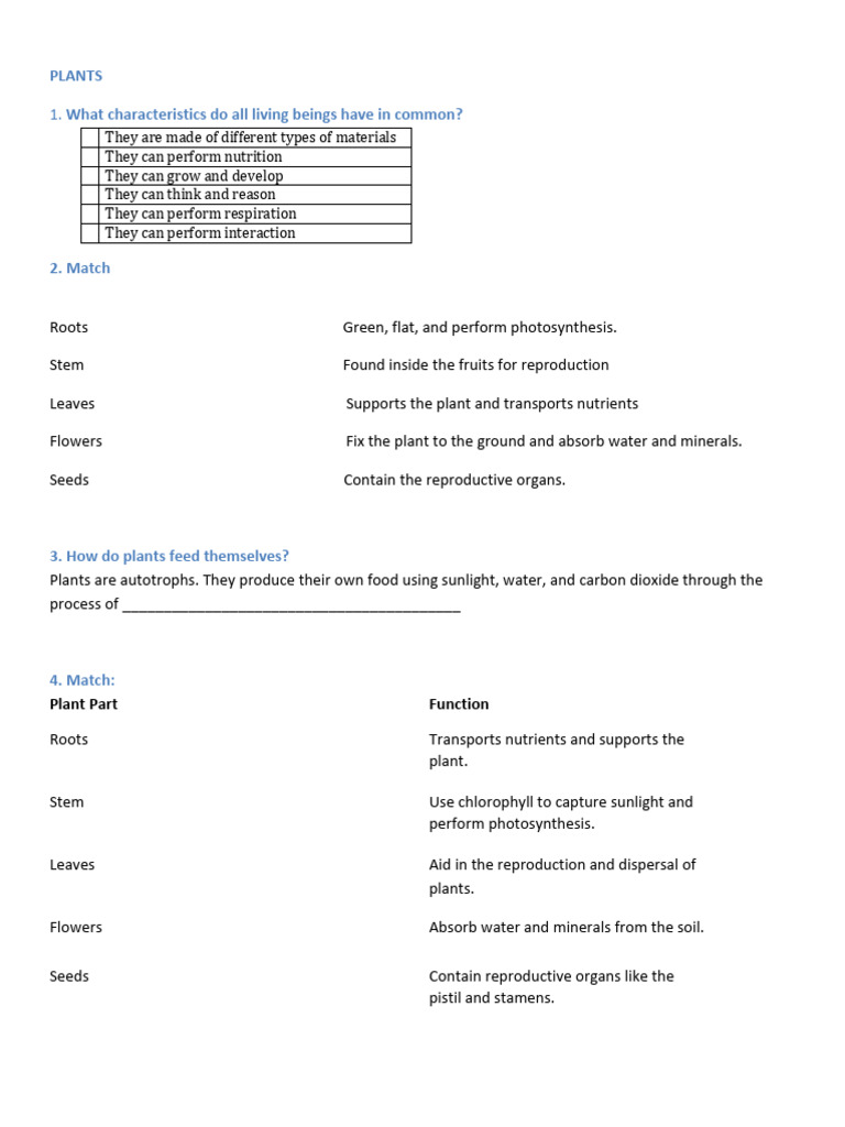 Exercises About Plants | PDF | Plants | Plant Reproduction