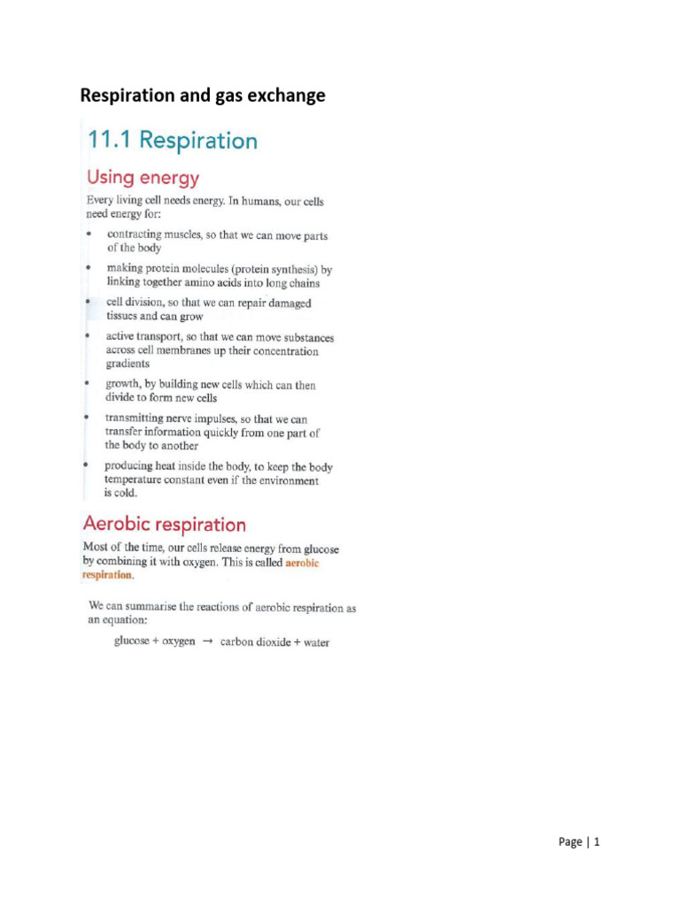 Respiration and Gas Exchange Extra PDF | PDF