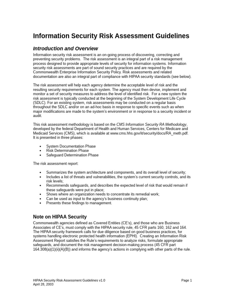 It Security Risk Assessment Guidelines | PDF | Information Security | Computer Security