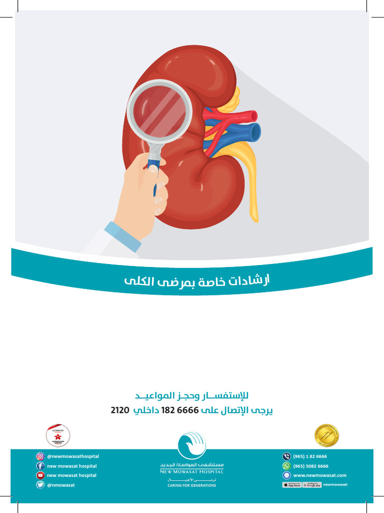 Tips For Kidney Patients | PDF