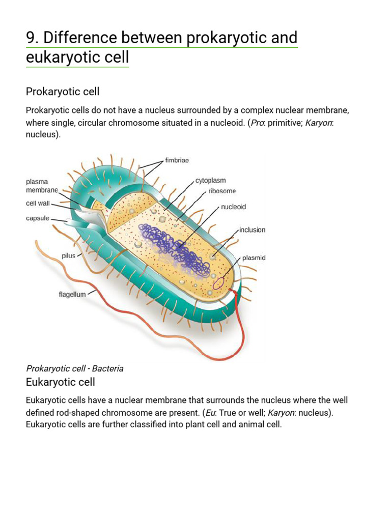 Difference Between Prokaryotic and Eukaryotic Cell - Lesson. Biology ...