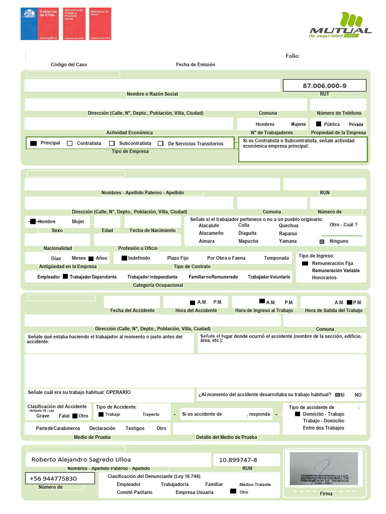 FORMATO DIAT | PDF | América del Sur | Chile