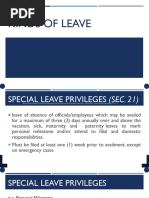 Special Leave Privileges for Employees | PDF | Gynaecology | Identity ...