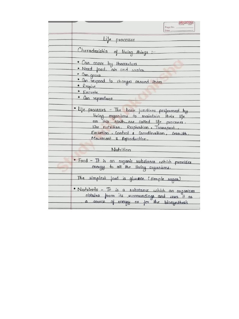 Life Processes Notes | PDF