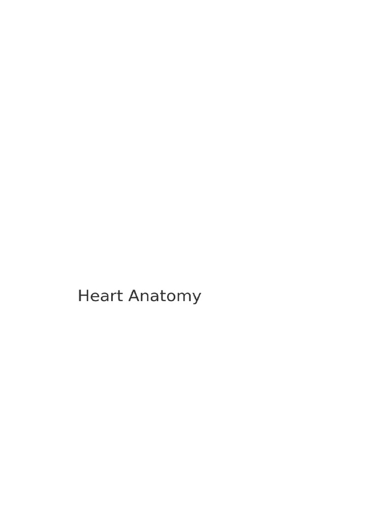 Cardiovascular Assessment Documentation Guide | PDF
