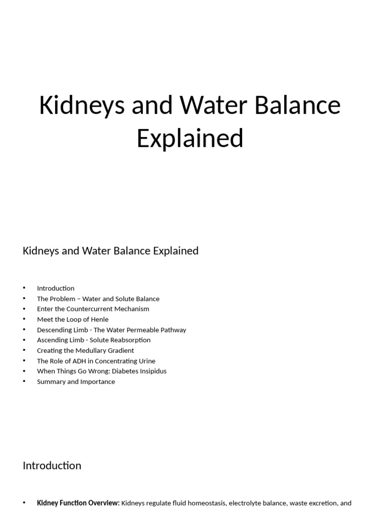 Kidney Water Balance Mechanisms Explained | PDF | Kidney | Organ (Anatomy)