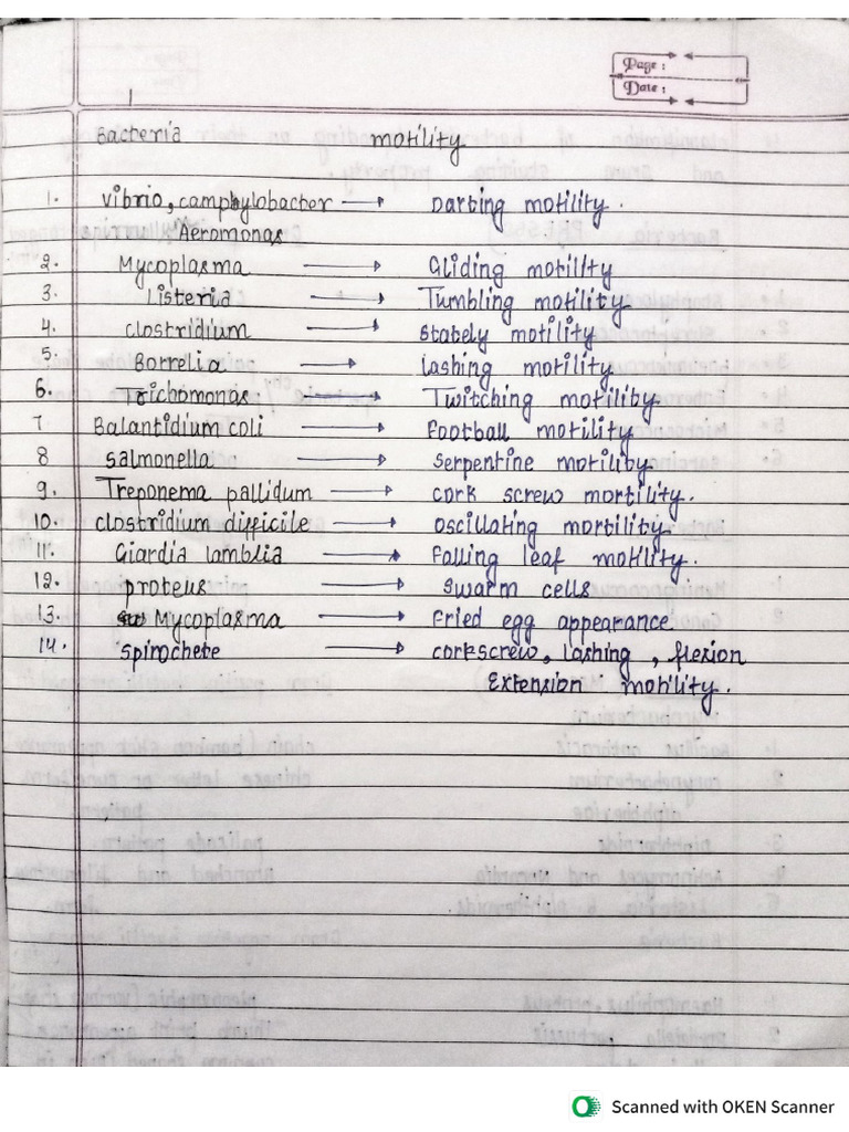 Notes 1 Pdf