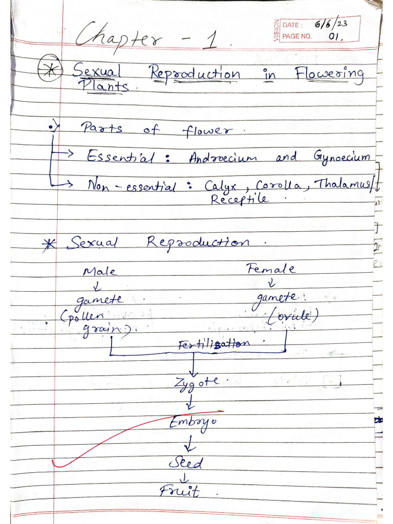 CH 1 Class 12 Sci Reproduction in Flowering Plants-1 | PDF