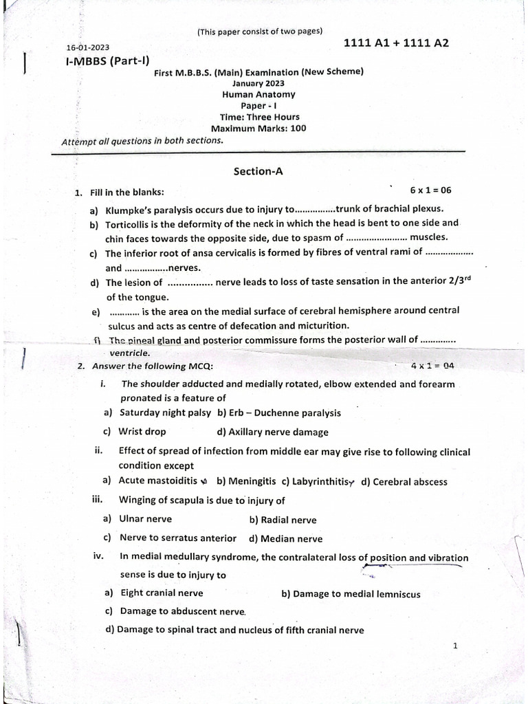 2021-22 Batch RUHS UC Papers | PDF