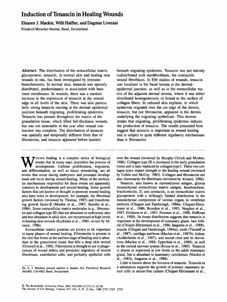 Induction of Tenascin in Healing Wounds | PDF | Wound Healing | Skin