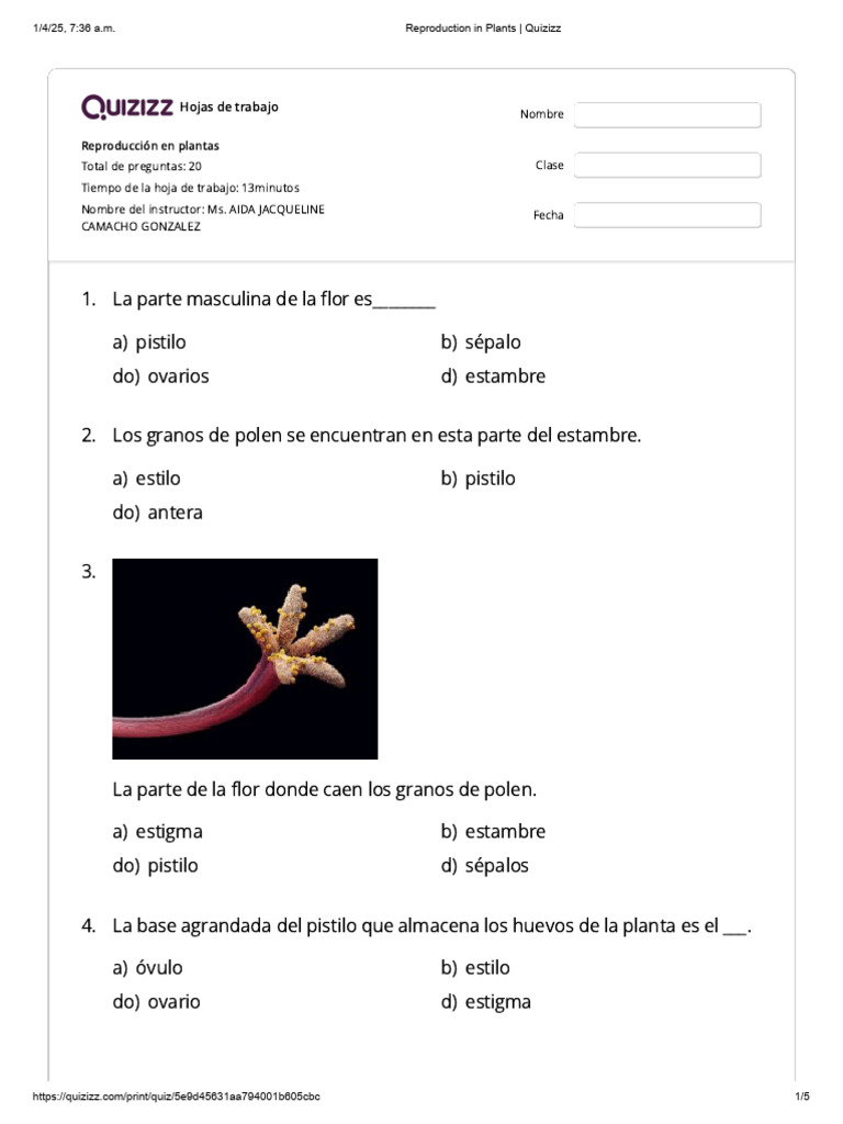 Reproduction in Plants | PDF | Flores | Polinización