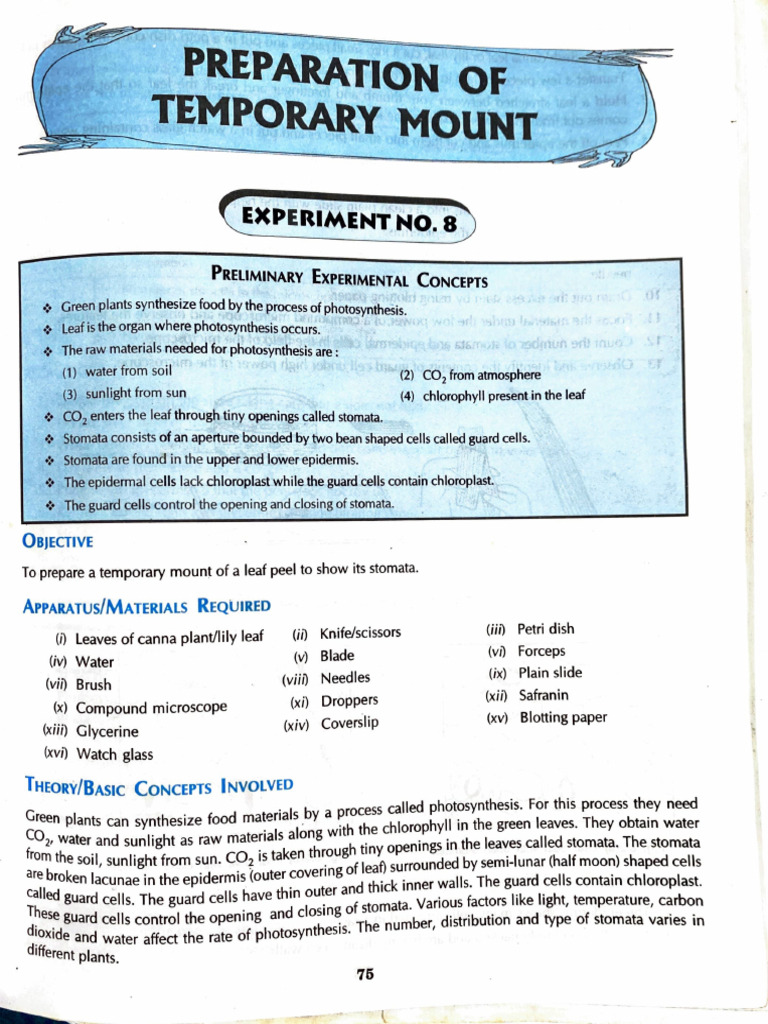 Preparing Temporary Mount of Leaf Peel | PDF | Leaf | Stoma