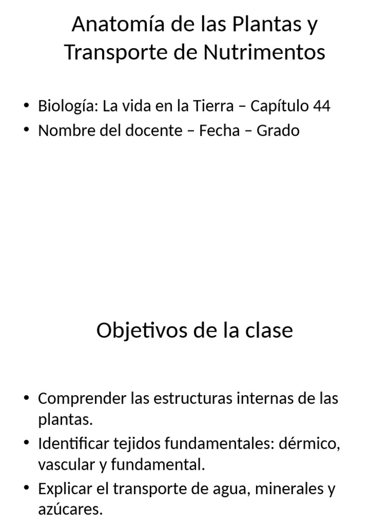 Anatomia Plantas Transporte Nutrimentos | PDF