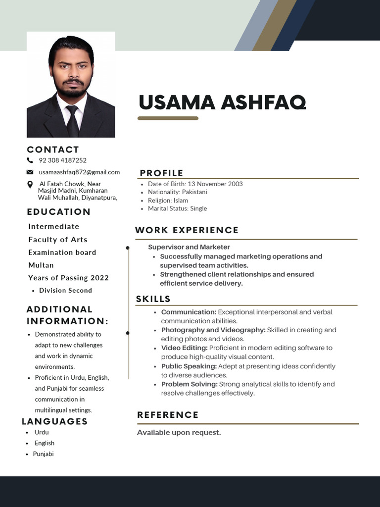 Modern Professional CV Resume PDF | PDF