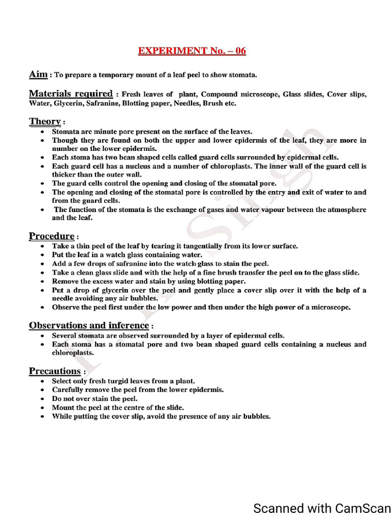 X Practical 3 | PDF