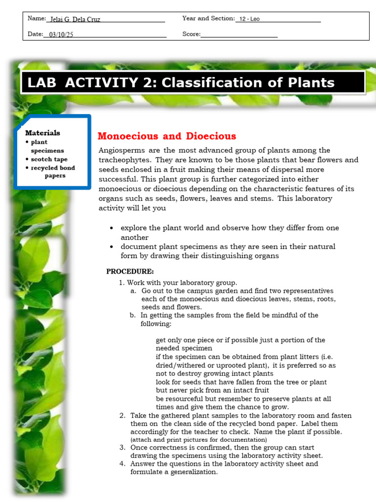 LAB ACTIVITY 2 Classification of Plants | PDF | Leaf | Plants