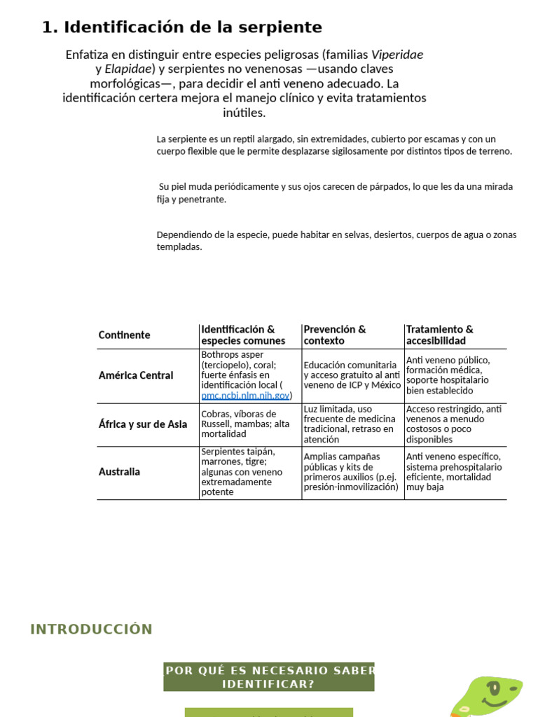 Viperidae | PDF