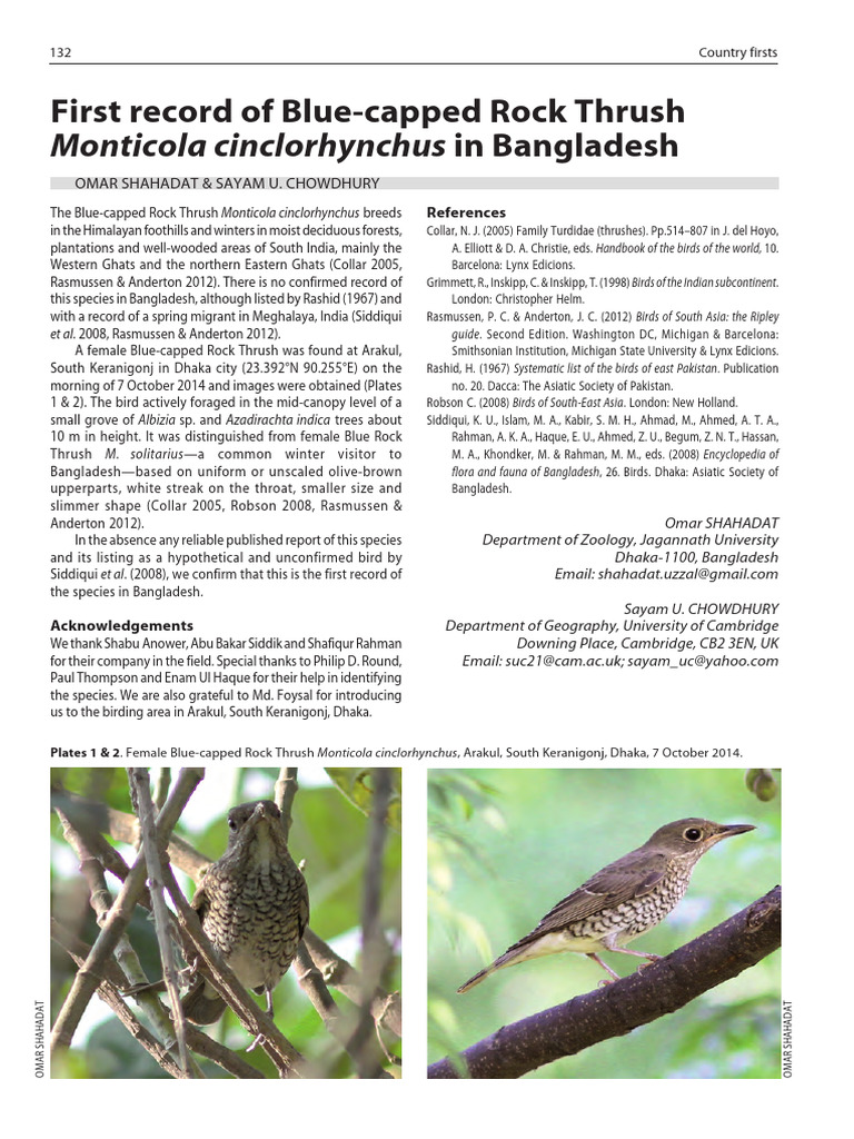 2015 Blue Capped Rock Thrush | PDF | Ornithology