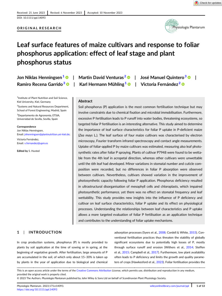 Foliar Phosphorus Uptake in Maize Cultivars | PDF | Leaf | Stoma