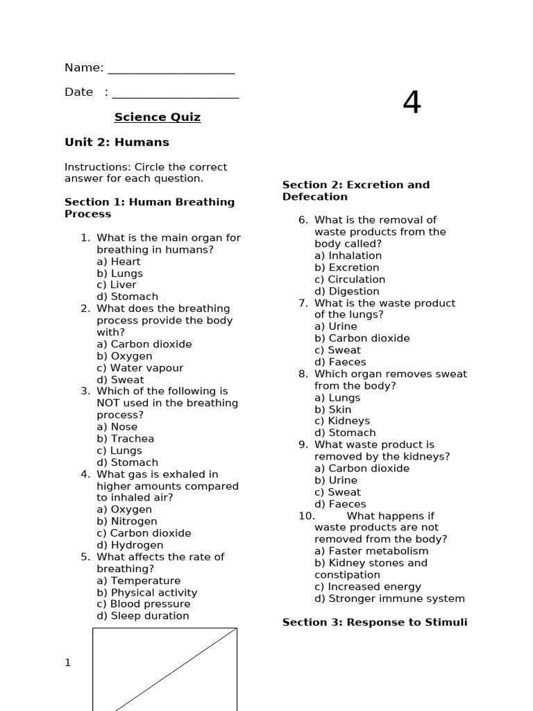Science Quiz Year 4 Unit 2 Human | PDF | Human Body | Breathing