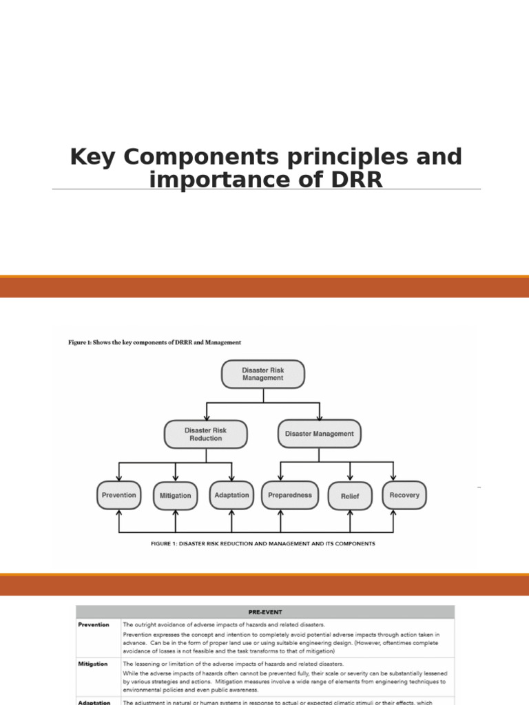 Components Principles of DRR | PDF | Disaster Risk Reduction | Capacity ...