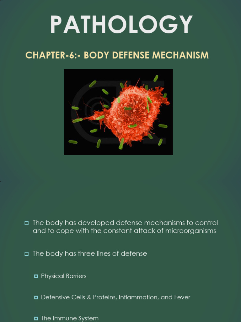 Body Defense Mechanisms 2 | PDF | Immune System | Innate Immune System