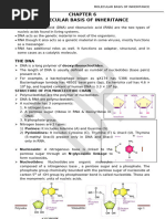 Class 12 Biology Notes Chapter 5 Molecular Basis of Inheritance | PDF ...