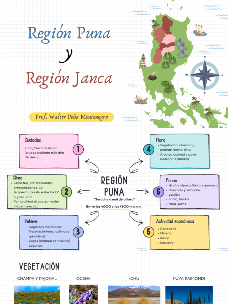 Características de la Región Puna y Janca | PDF | Geografía Física ...