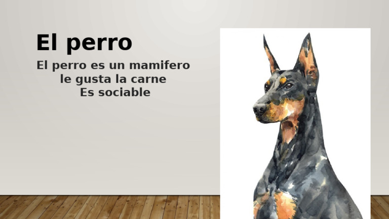 El Perro | PDF