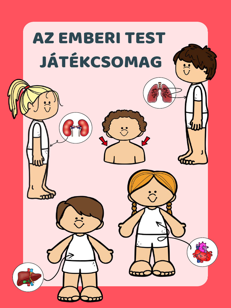 Az Emberi Test Játékcsomag | PDF