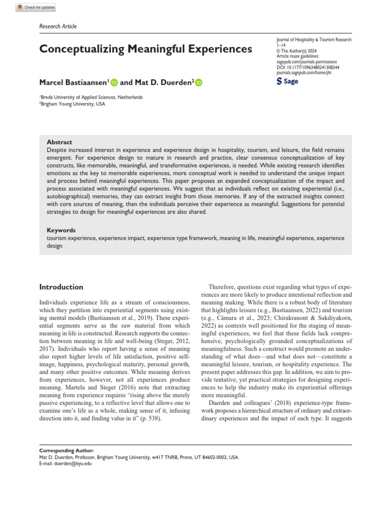 Conceptualizing Meaningful Experiences | PDF | Experience | Consciousness