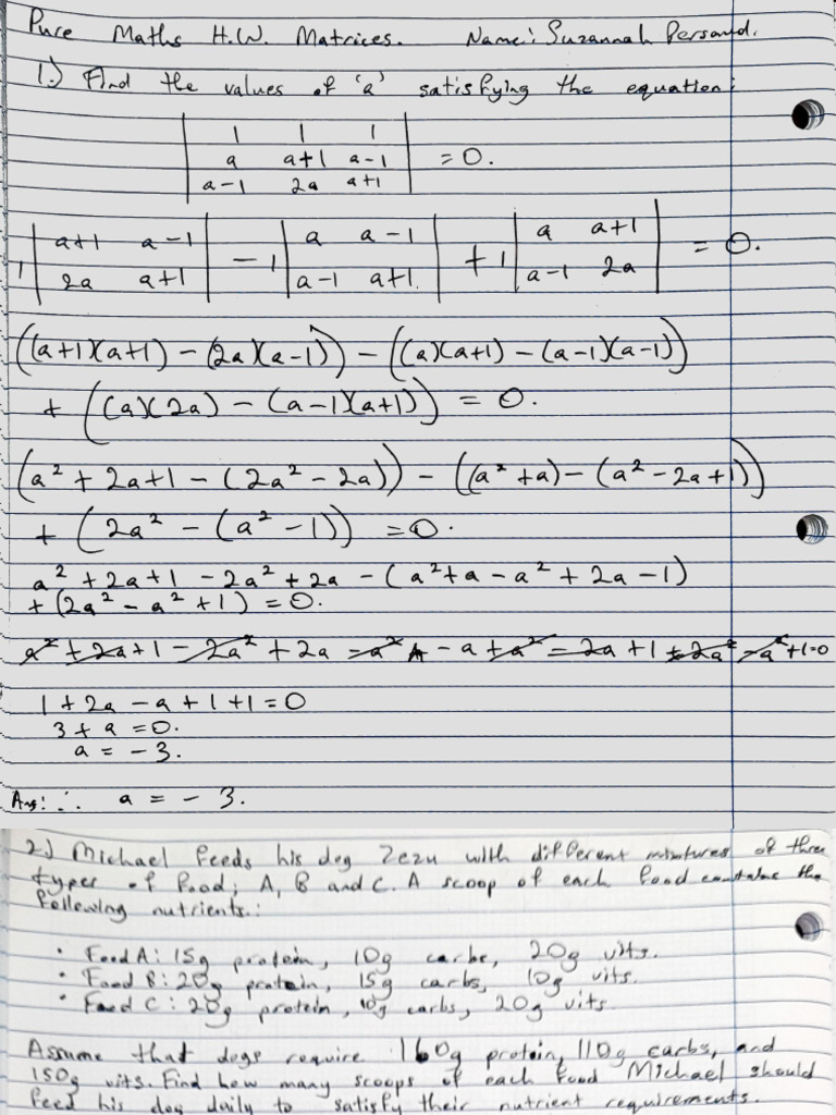 Pure Maths HW Matrices Suzannah Persaud CFBC | PDF