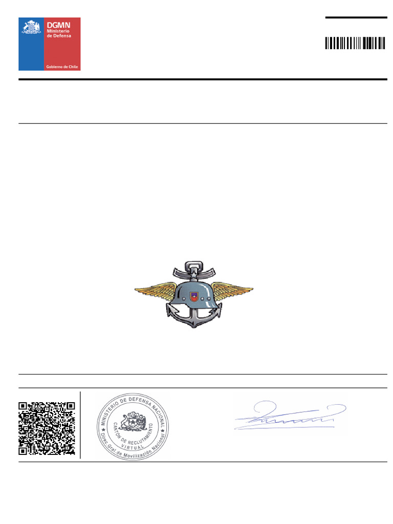 DGMN Certificado de Situacion Militar 18041193 | PDF | Control de ...