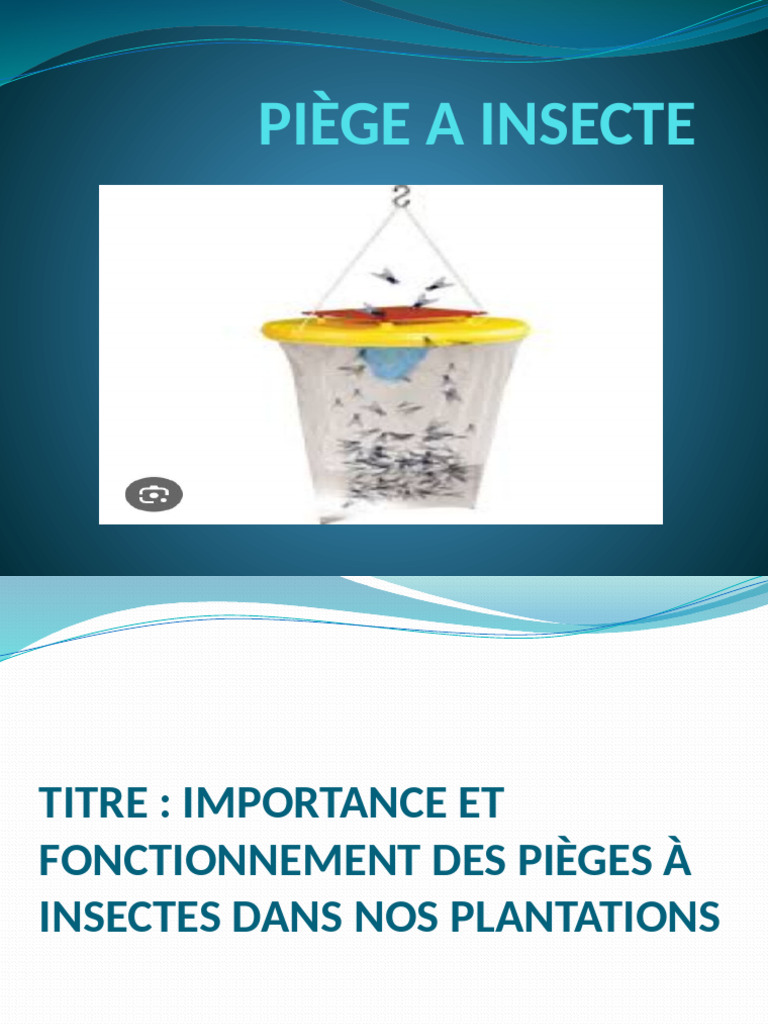 Piege a Insecte | PDF | Insectes | Agriculture