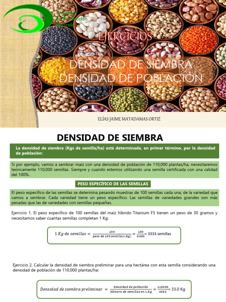 Ejercicios Siembra | PDF | Siembra | Semilla