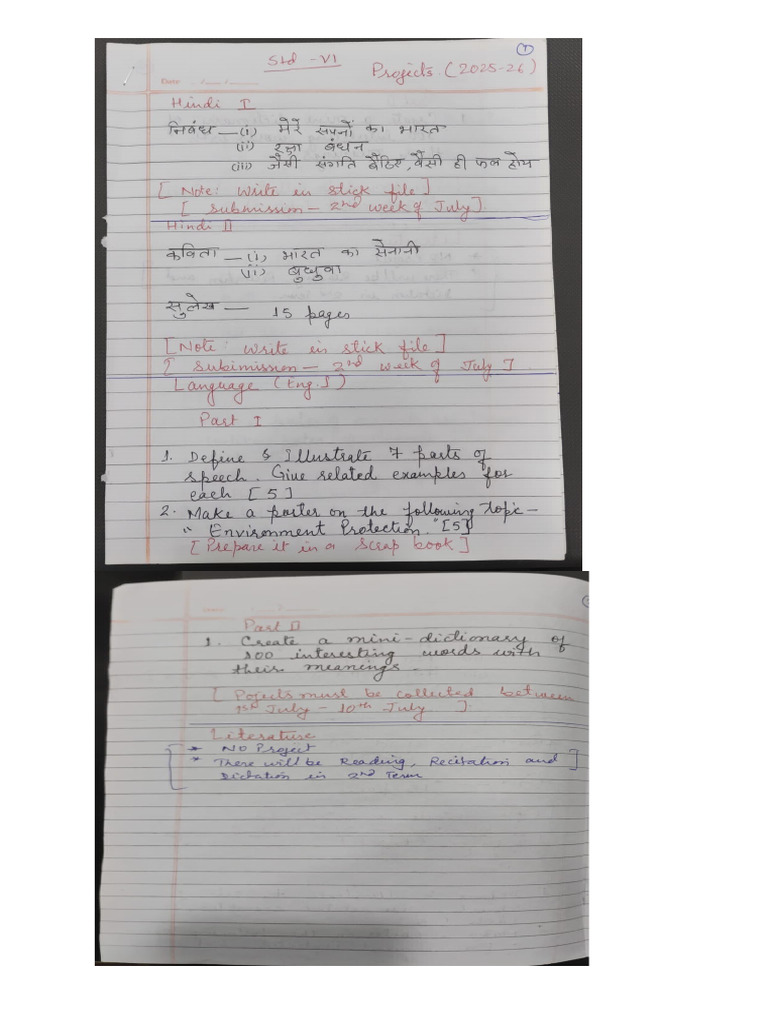 Project STD VI | PDF