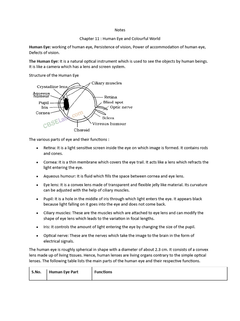 Notes CH Human Eye Class 10 PDF | PDF | Eye | Human Eye