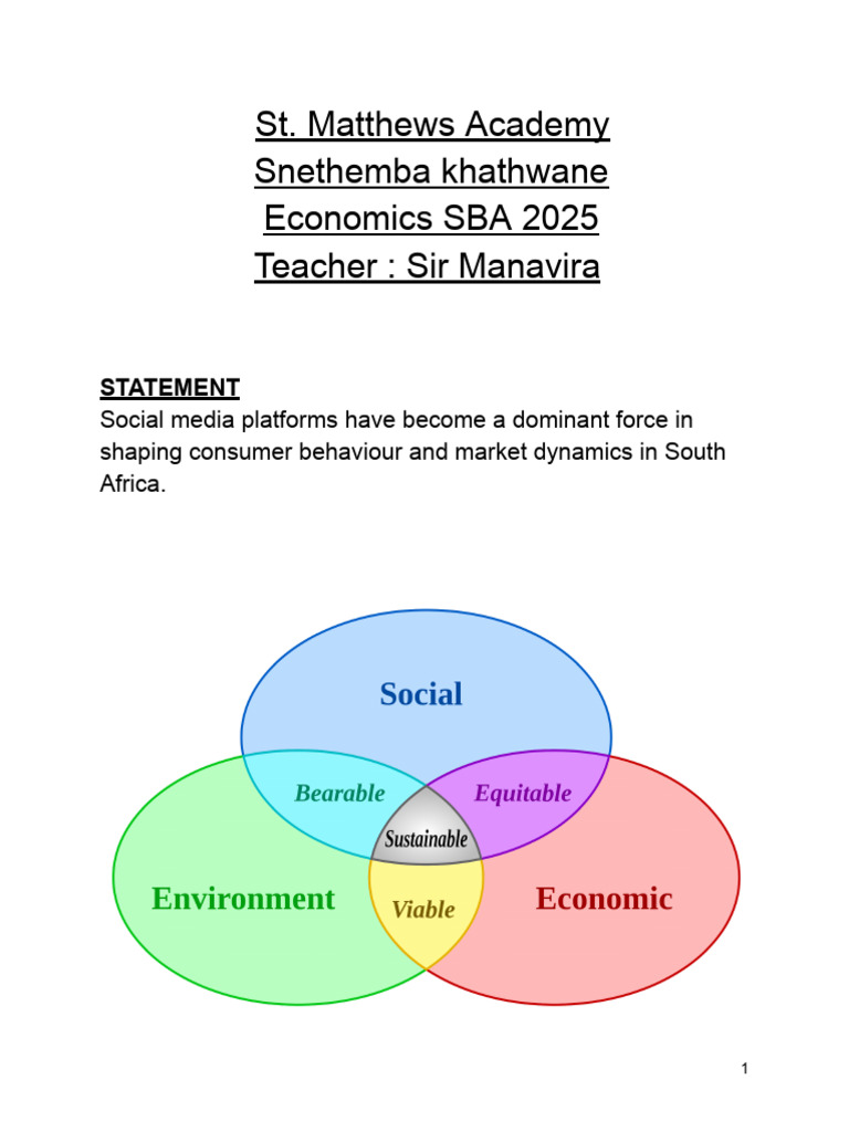 Economics Sba | PDF | Popular Culture & Media Studies | Social Media