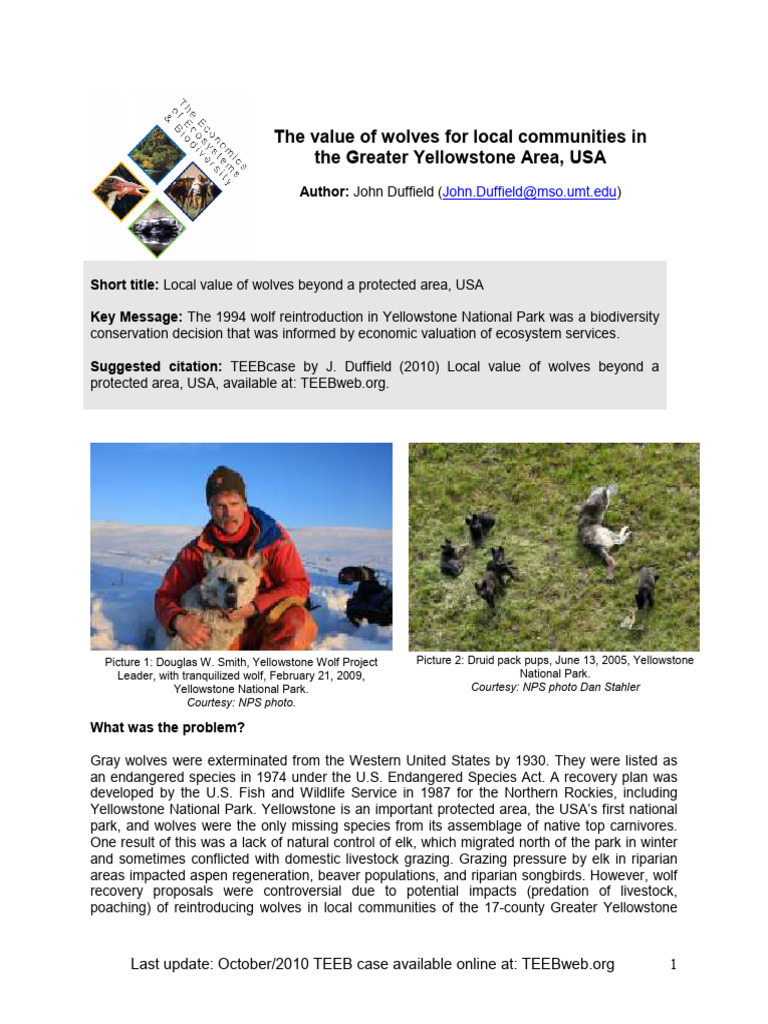 Economic Impact of Yellowstone Wolves | PDF | Yellowstone National Park ...