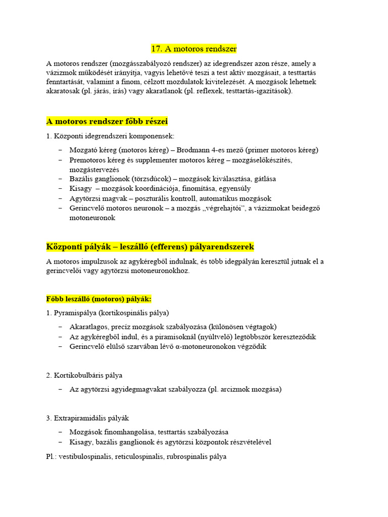 A Motoros Rendszer | PDF