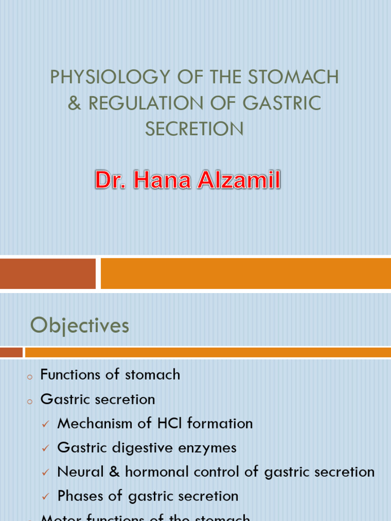 3) Physiology of The Stomach GIT Block Final | PDF | Stomach | Digestion