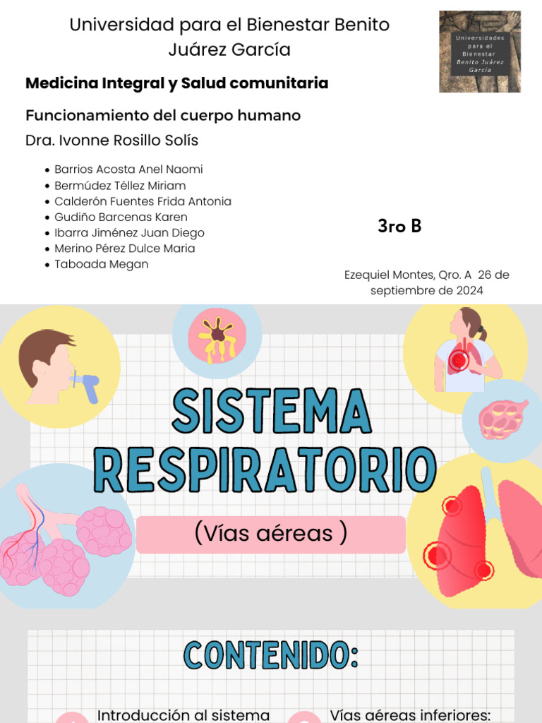 Aparato Respiratorio | PDF | Nariz humana | Laringe