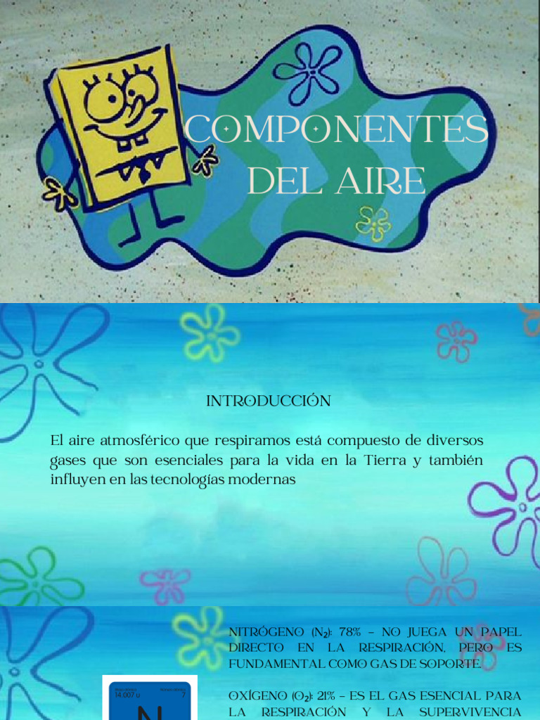 Composición y Función del Aire Respirable | PDF | Pulmón | Respiración