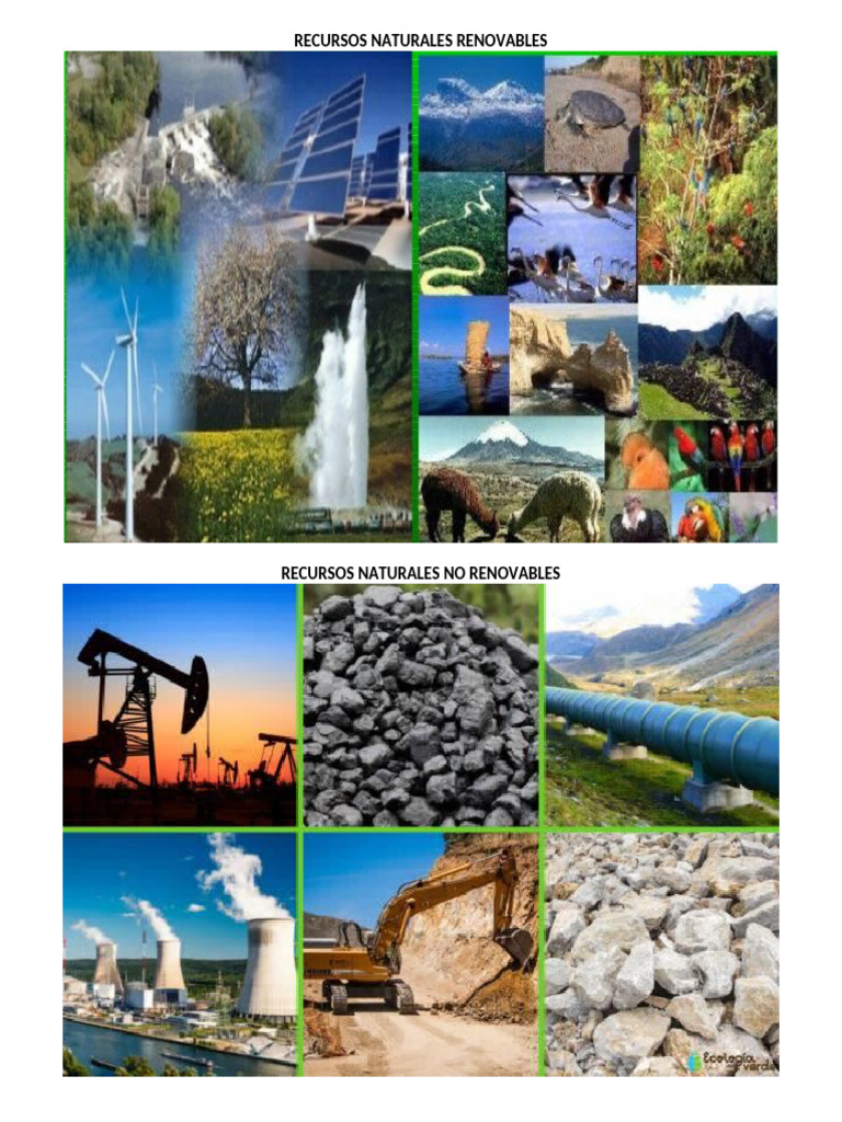 Recursos Naturales Renovables | PDF