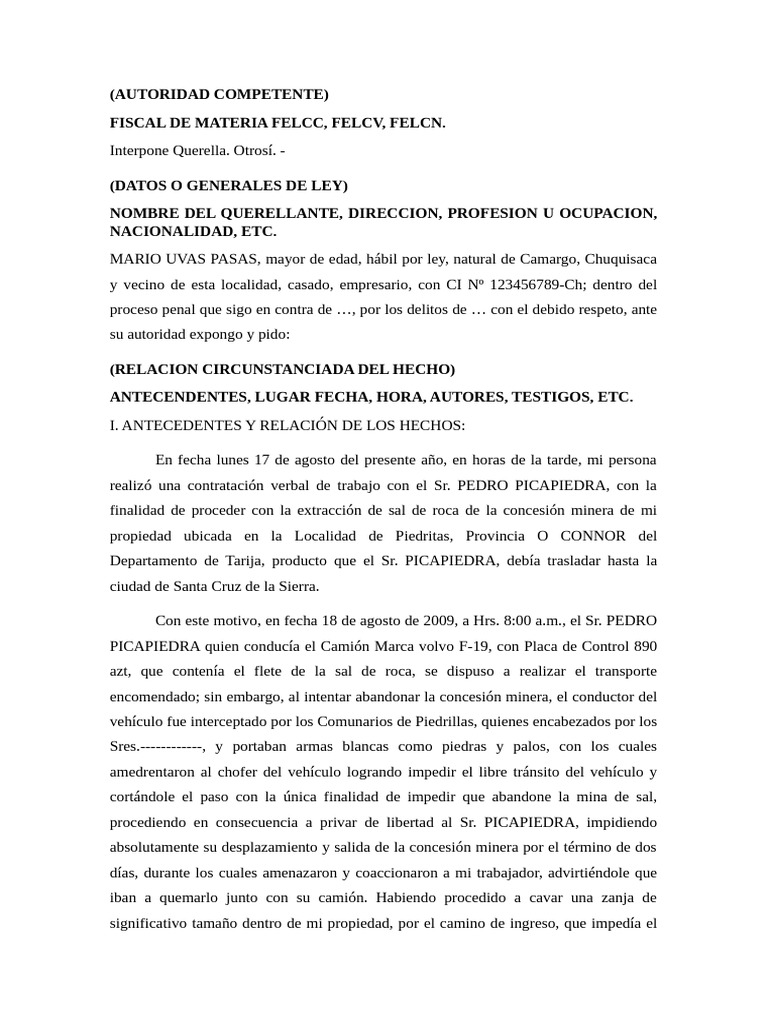 Modelo de Querella | PDF | Justicia | Crimen y violencia