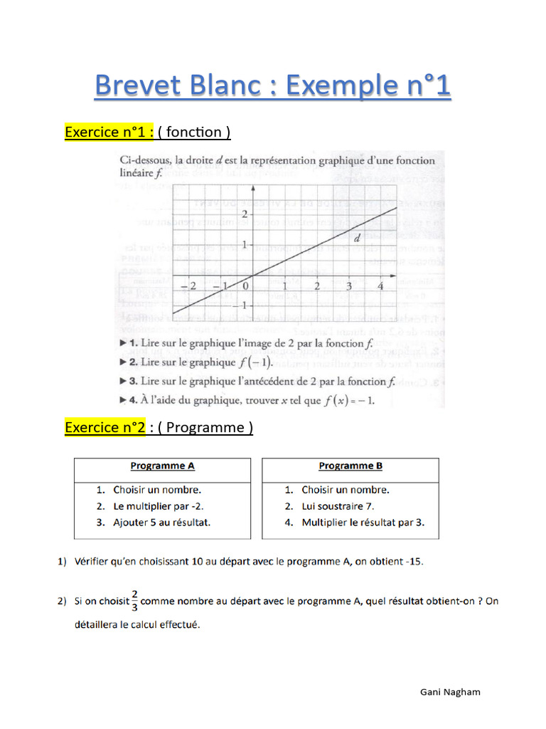Brevet Blanc Exemple N°1 | PDF