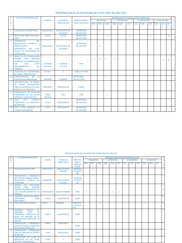 Programa Anual de Actividades de La PDC | PDF