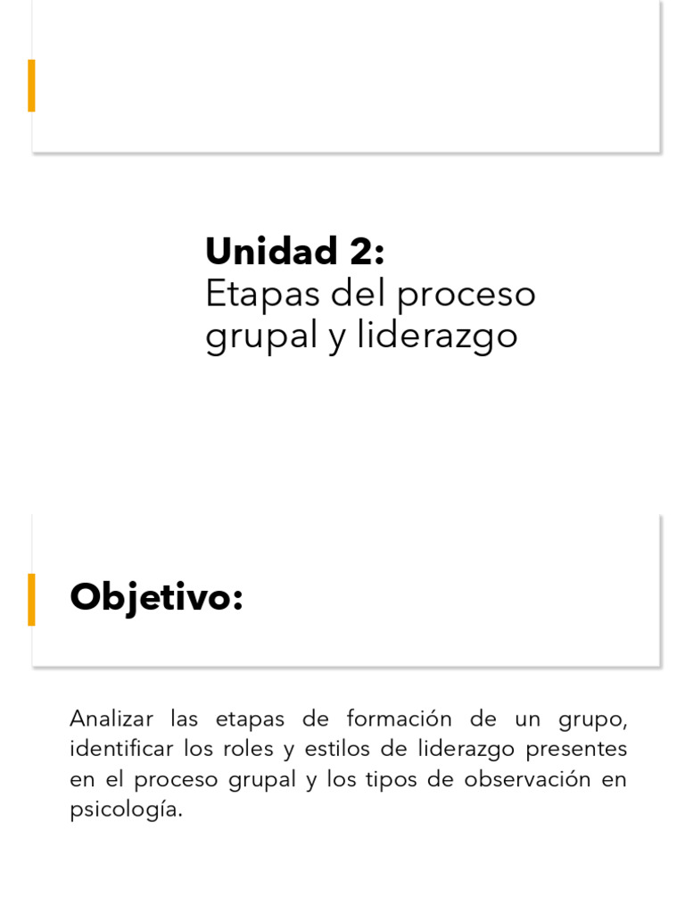 Etapas de Liderazgo y Observación Grupal | PDF | Liderazgo | Observación