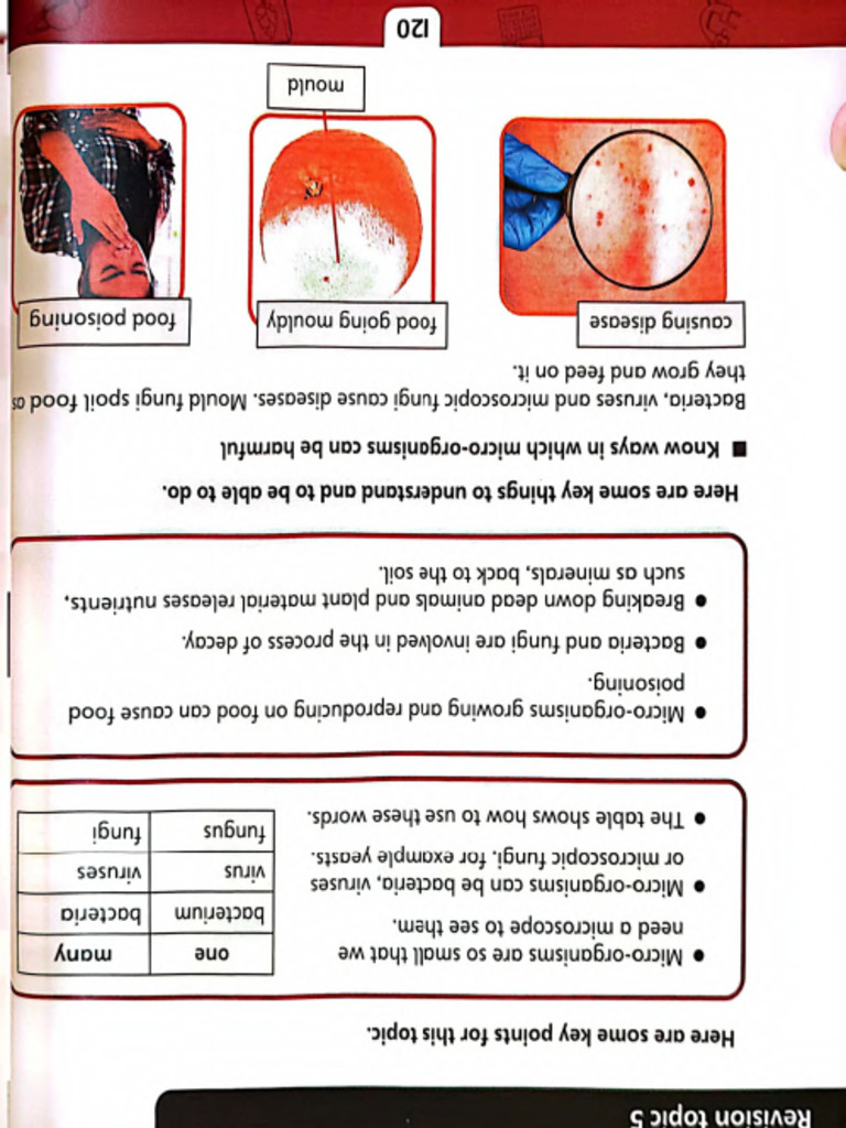 Pearson-Primary - Science-6-Textbook - Part4 | PDF